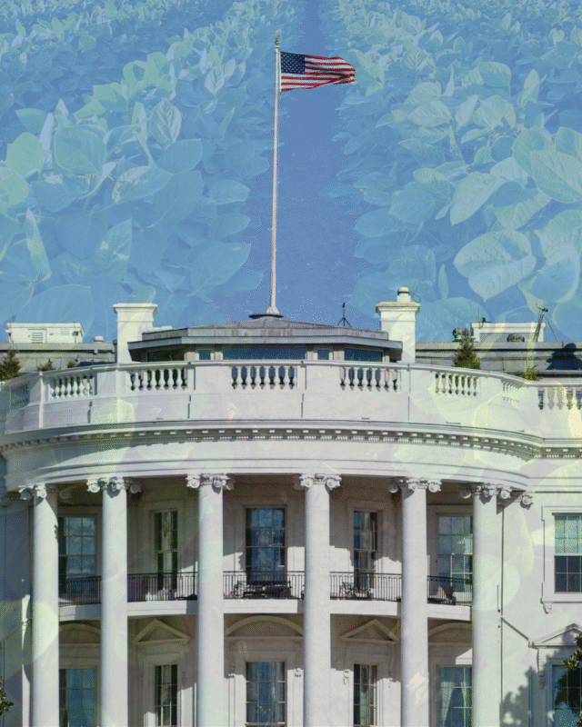 Informes semanales abril 2025 - DRC